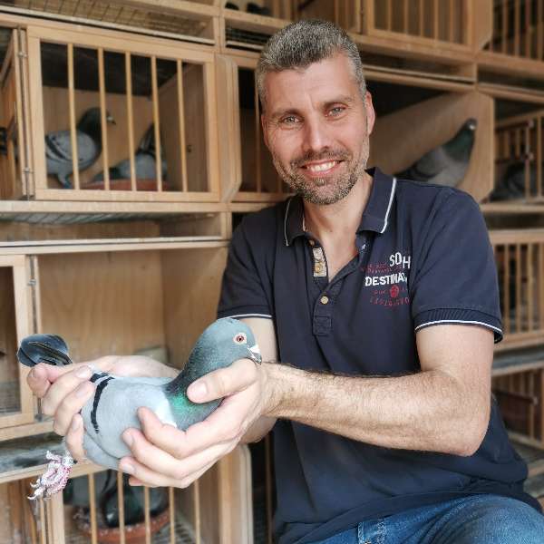 Oficiálne výsledky - R6 - Weimar 3. (30.07.2023) - MyPigeons