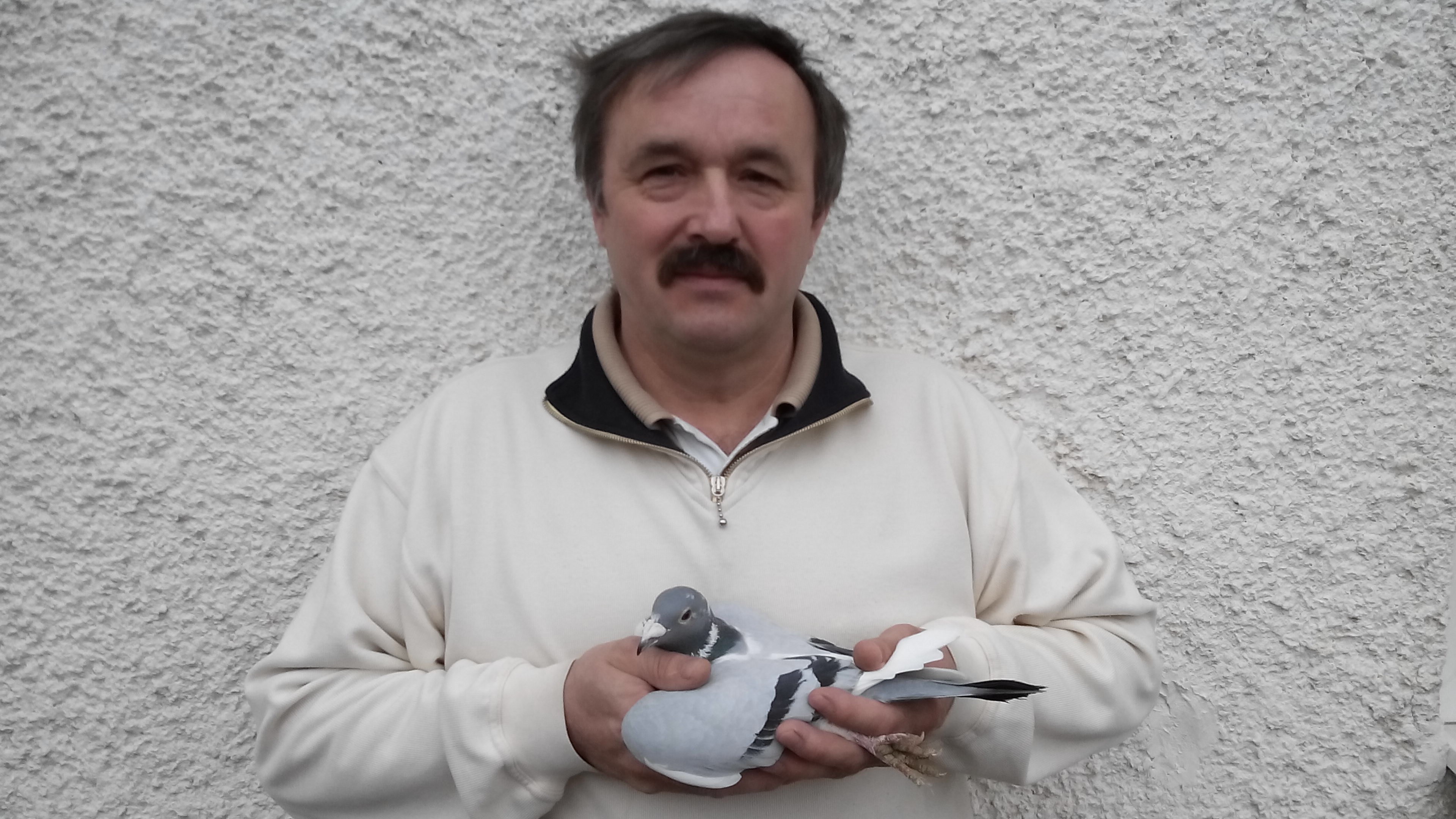 Interné výsledky - OZ Bardejov - Ostrzeszów 2 (16.07.2023) - MyPigeons