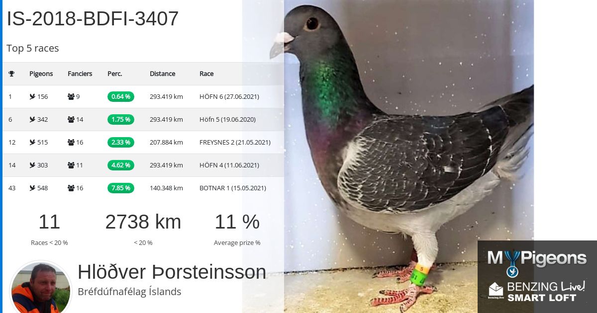 IS-2018-BDFI-3407 | Pigeon Profile - MyPigeons