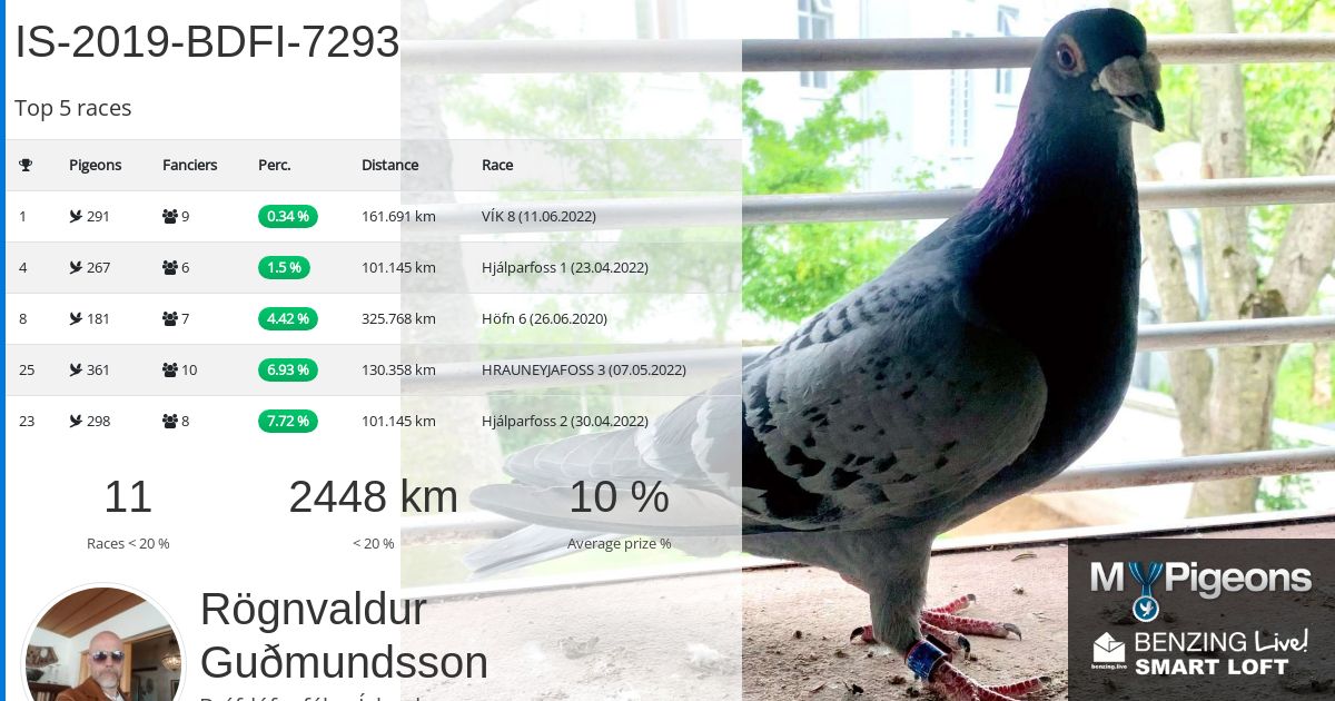 IS-2019-BDFI-7293 | Pigeon Profile - MyPigeons
