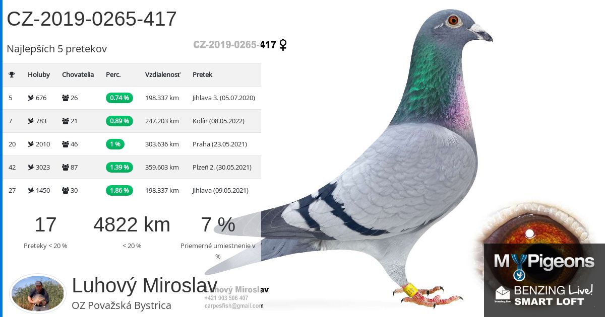 CZ-2019-0265-417 | Profil holuba - MyPigeons